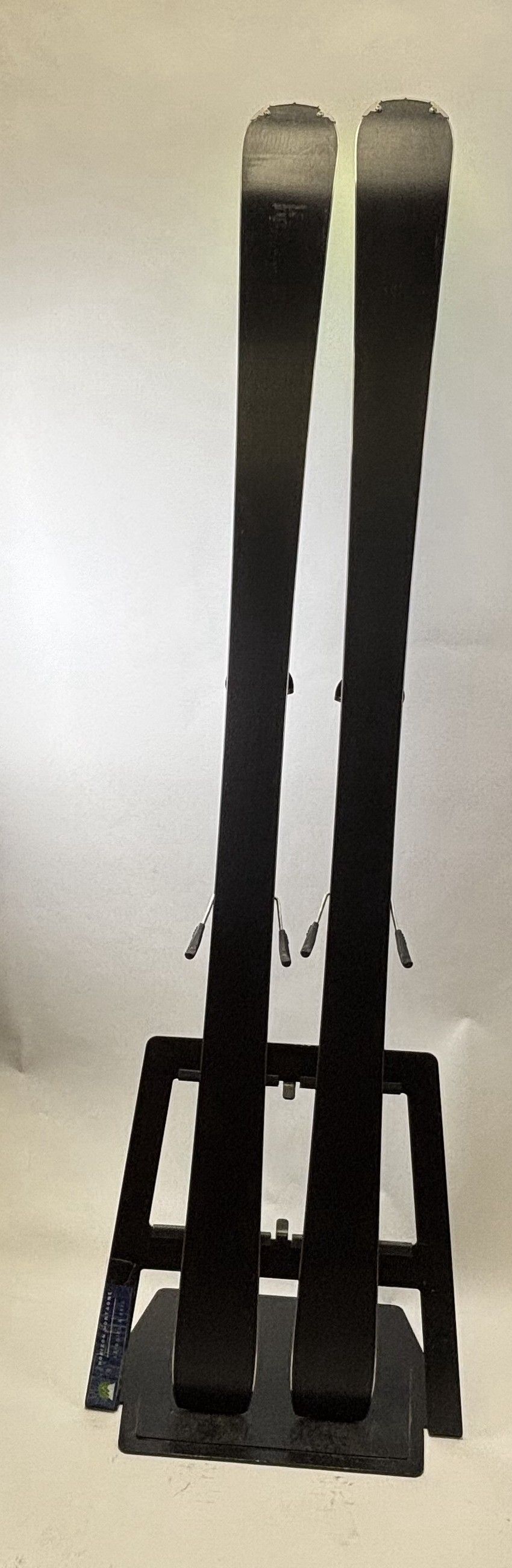 Skis alpins Fischer RC4 Speed | Campsider