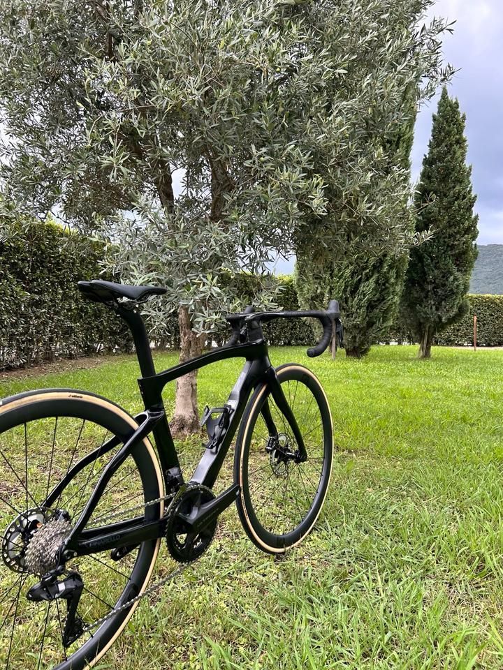 Vélos de route Pinarello F | Campsider