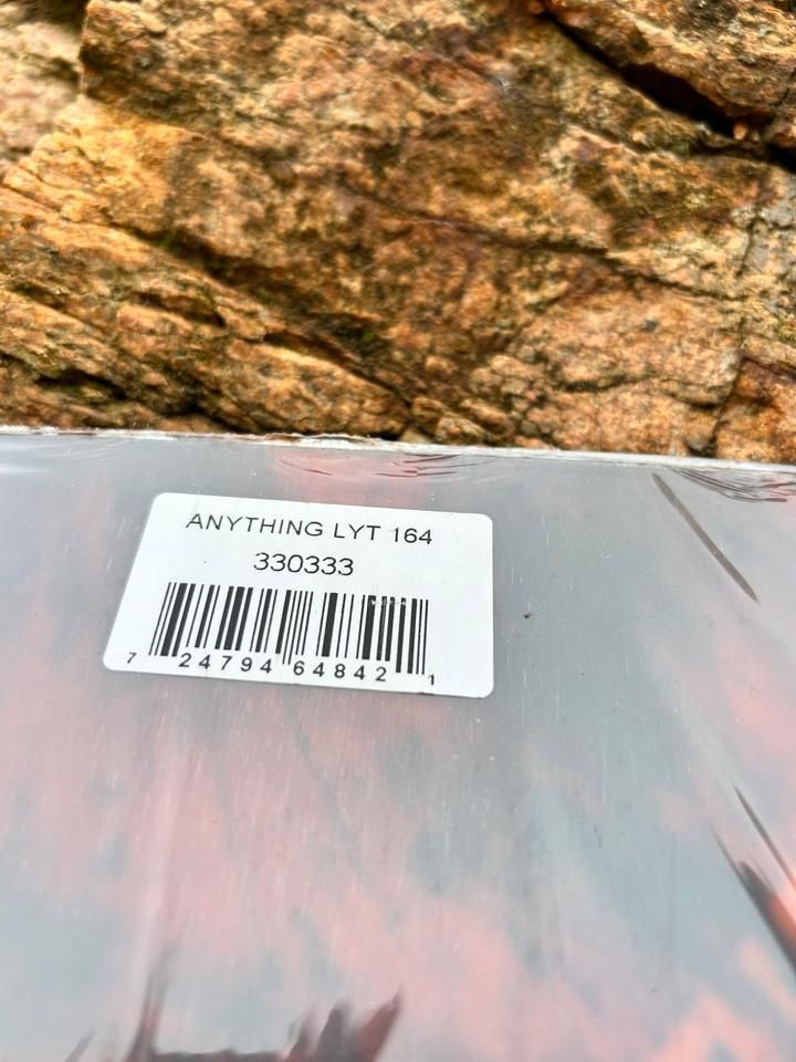 Chaussures de snowboard Head | Campsider