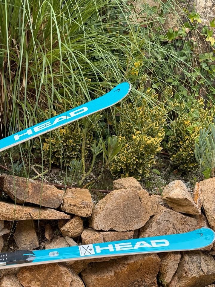 Skis alpins Head E-speed Pro Wc Sw Tech | Campsider